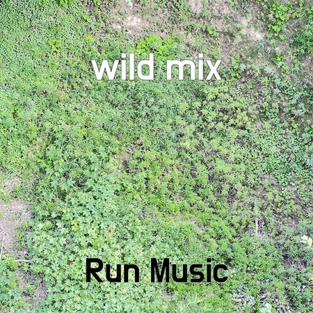 wild mix專輯 - Run Music - LINE MUSIC