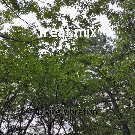 treat mix專輯 - Divine Vibration undefined - LINE MUSIC
