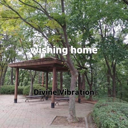 wishing home專輯 - Divine Vibration - LINE MUSIC