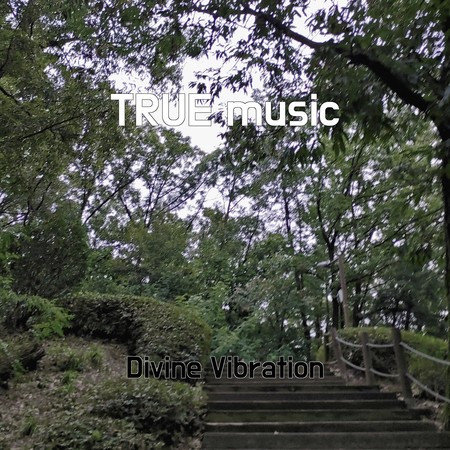 TRUE music專輯 - Divine Vibration - LINE MUSIC