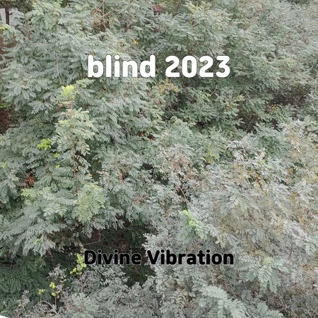 blind 2023專輯 - Divine Vibration undefined - LINE MUSIC