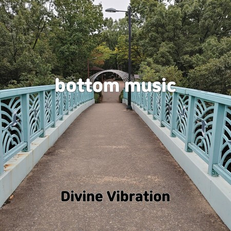 bottom music專輯 - Divine Vibration - LINE MUSIC
