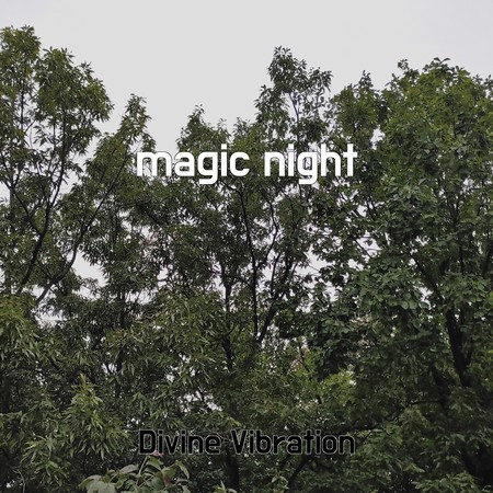 magic night專輯 - Divine Vibration undefined - LINE MUSIC