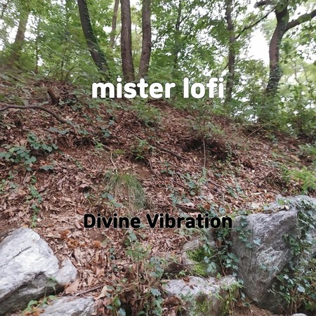mister lofi專輯 - Divine Vibration - LINE MUSIC