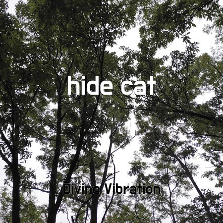 hide cat專輯 - Divine Vibration - LINE MUSIC