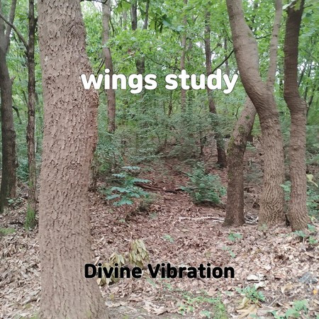 wings study專輯 - Divine Vibration - LINE MUSIC