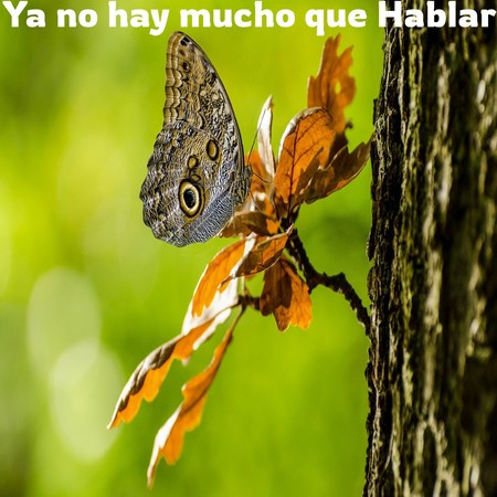 Ya no hay mucho que Hablar專輯 - Relaxing Music undefined - LINE MUSIC