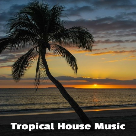 Tropical House Music專輯 - Relaxing Music - LINE MUSIC