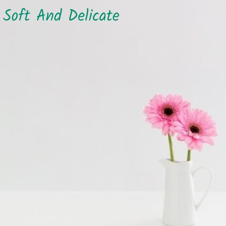 Soft And Delicate專輯 - Relaxing Music undefined - LINE MUSIC