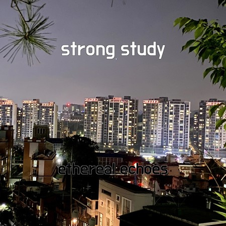 strong study專輯 - ethereal echoes undefined - LINE MUSIC