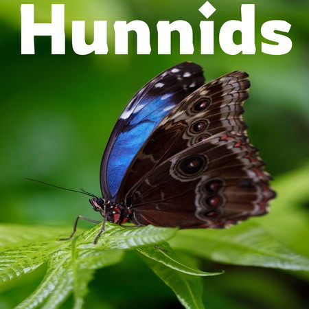 Hunnids專輯 - Relaxing Music - LINE MUSIC