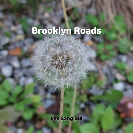 Brooklyn Roads專輯 - Lee Sang Gul undefined - LINE MUSIC