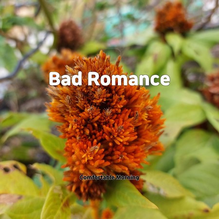 Bad Romance專輯 - Comfortable Morning undefined - LINE MUSIC