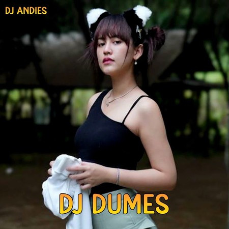 DJ Dumes Slow專輯 - DJ Andies undefined - LINE MUSIC