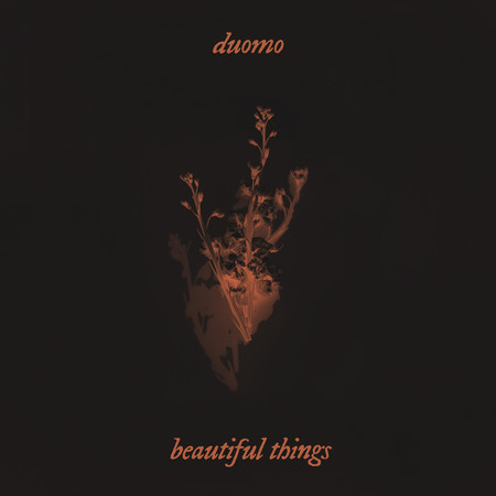 Beautiful Things專輯 - Duomo undefined - LINE MUSIC