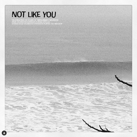Not Like You專輯 - Pelvs, Devilish Dear undefined - LINE MUSIC